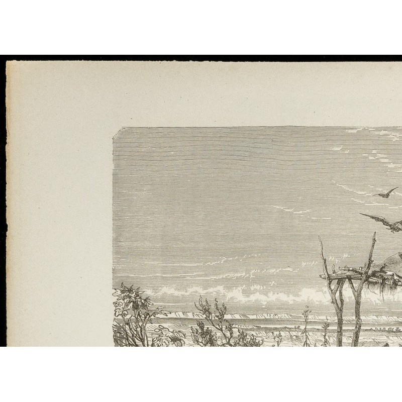 1860 - Sépulture australienne au désert