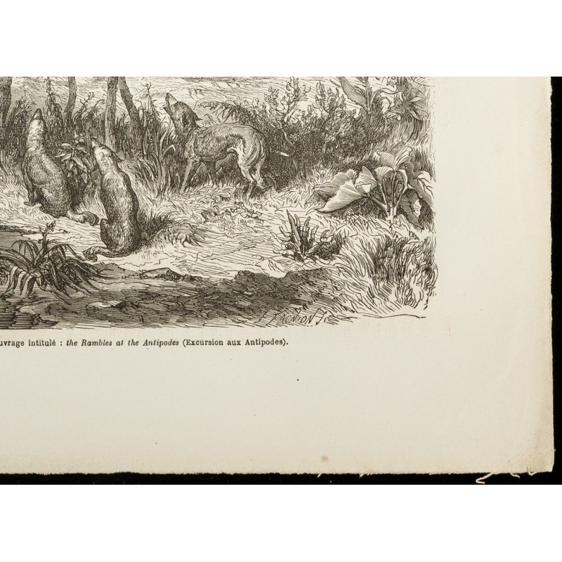 1860 - Sépulture australienne au désert