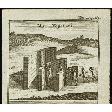 1763 - Murus gallicus et Muri Vegetiani