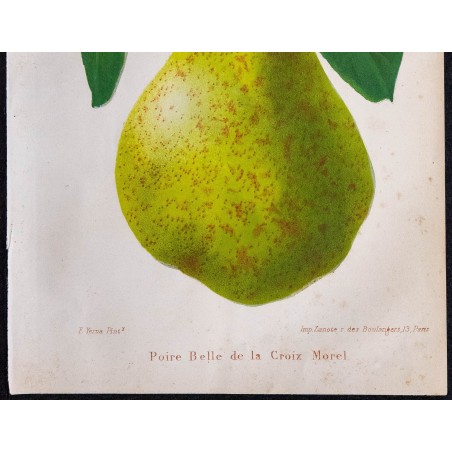 1868 - Poire Belle de la Croix Morel
